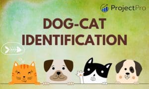 10 AI Project Ideas in Computer Vision - KDnuggets