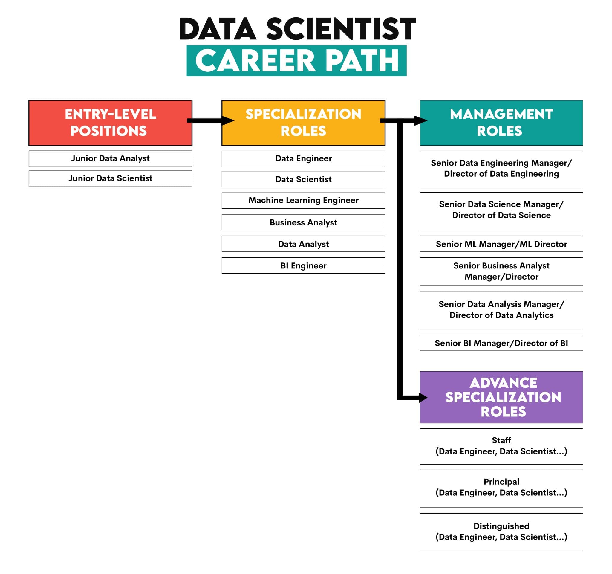 Navigating Your Data Science Career: From Learning to Earning - KDnuggets
